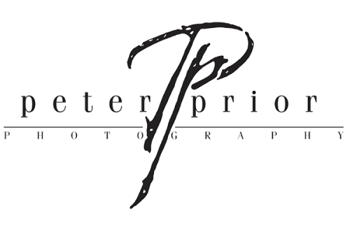 Wedding Photographer Devon Devon Portrait Photographer